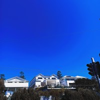 Would we rise? – Chris' Poetry